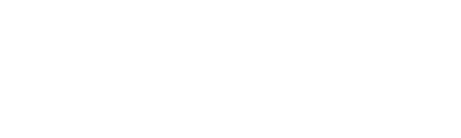 Limebox NetSuite-Certified Implementation & Customization Partner
